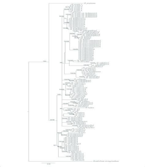 bayesian inference bi tree based on the combination of matk its