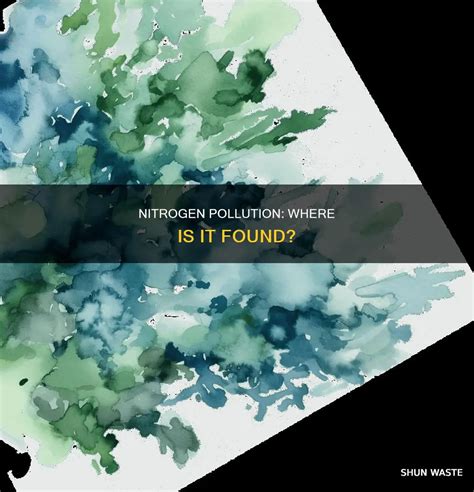 Nitrogen Pollution Where Is It Found Shunwaste