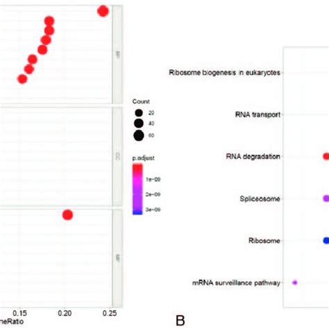 Differentially Expressed Analysis A Heatmap Of Significant De Rbps B