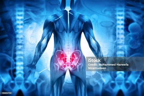 Xray Kerangka Nyeri Pinggul Konsep Medis Ilustrasi 3d Foto Stok Unduh