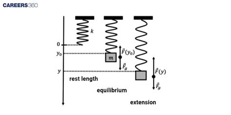 Understand Harmonic Motion A Differential Equations Perspective
