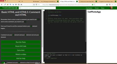 The Bug In Comment Out Challenge In Html Html Css The Freecodecamp