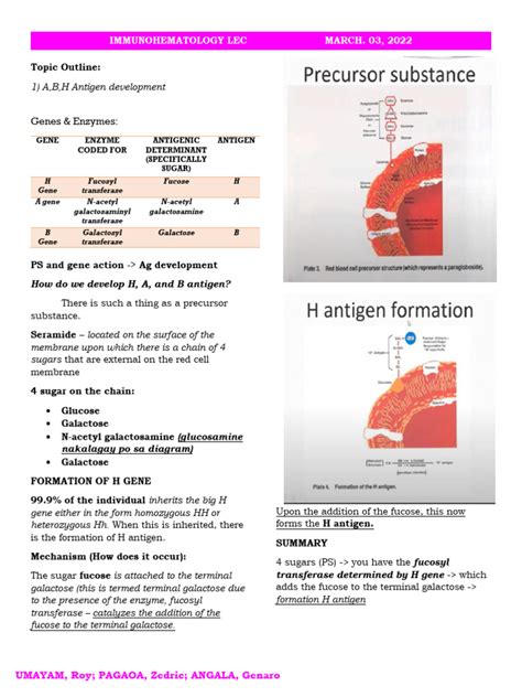 Split 4313571593497425083 Pdf Cell Biology Biology