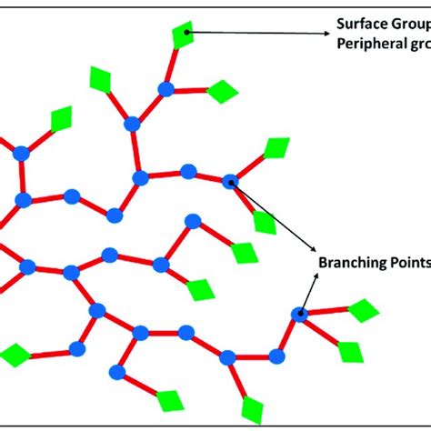 Hyperbranched Polymers Structure The Polymer Structure Is A Randomly