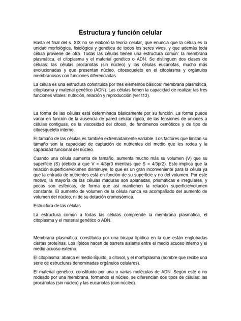 Estructura Celular Pdf Biología Celular Citoplasma