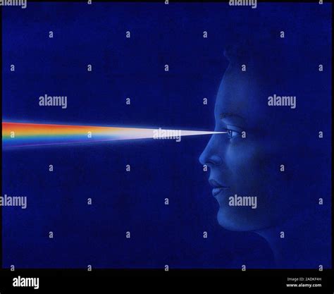 Vision Illustration Of A Spectrum Of Light Entering The Human Eye