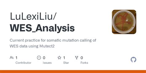 Github Lulexiliuwesanalysis Current Practice For Somatic Mutation