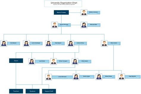 Org Chart Template For University Organizational Chart Organization