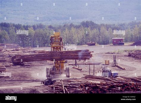 A Log Picker Sorting Logs At A Log Yard Near Chetwynd In Northern