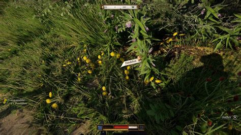 Where To Find Free Dandelion Trosky Region Kingdom Come Deliverance
