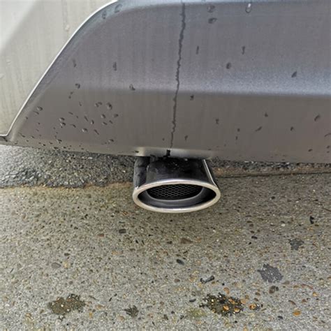 Car Exhaust Pipe Muffler Tail Pipe For Citroen C Q Vicedeal