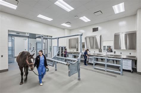 Purdue University Veterinary Medical Hospital Complex Flad Architects