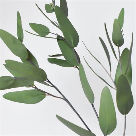 Silver Eucalyptus Needle Leaf Faux Stem Seeded Eucalyptus Etsy