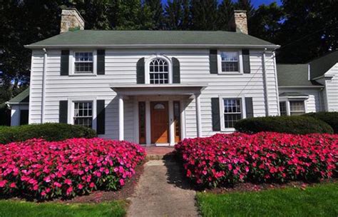 Sunpatiens For Front Yard Landscaping Sunpatiens Care Pink Impatiens