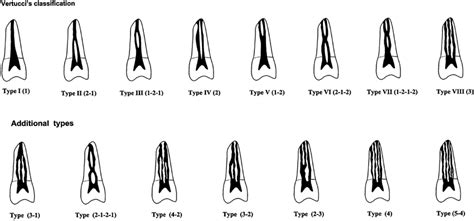 Classification Of Canal System By Vertucci¹⁹ And The Additional Download Scientific Diagram