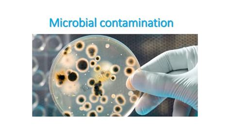 Microbial Contamination Pptx