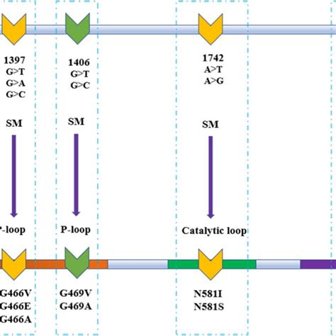 Chemical Structure Of First Second And Third Generation Of Braf Inhibitors Download
