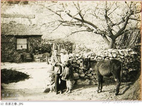 二十世纪初东北全景纪实老照片1500张 知乎