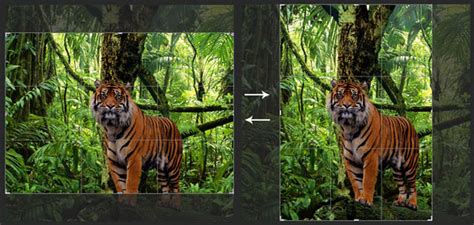 10 Things You Should Know About The Crop Tool Envato Tuts