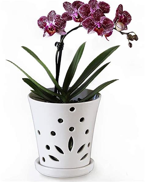 Atri Ceramic Orchid Pot With Holes 46” Decorative Flower Pot For