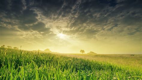 Sky And Grass Wallpapers Top Free Sky And Grass Backgrounds