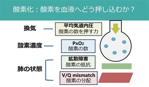 低酸素血症 Hypoxemia│医學事始 いがくことはじめ