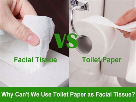 Why We Cant Use Toilet Paper Instead Of Facial Tissue