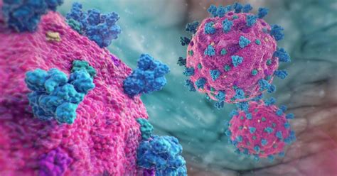Faster Response To New Virus Variants Helmholtz Centre For Infection