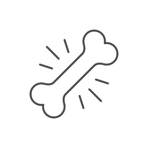Bone Density Icon Vector Images Over 350