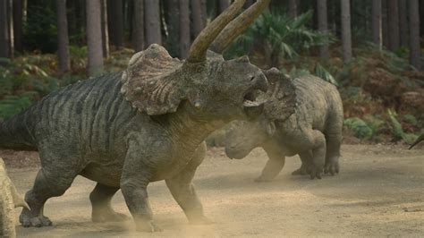 Discuss Everything About Prehistoric Planet Wiki Fandom