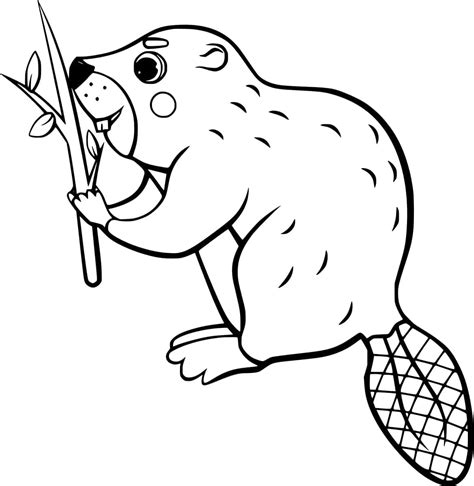 Beaver Coloring Pages Coloringlib