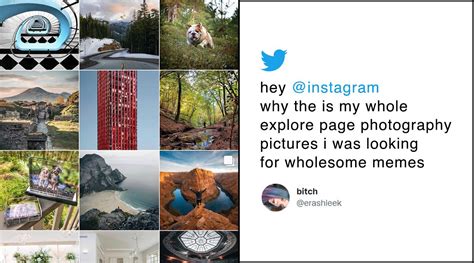 Instagram Explore Is Suddenly A Collection Of Random Photos This Is