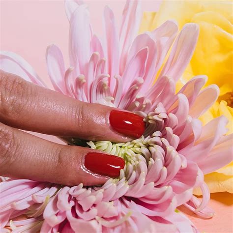 Exploring The Mady Gio Experience With A Unique Twist Best