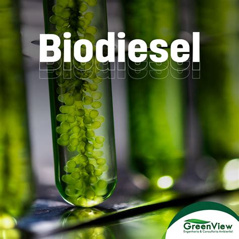Biodiesel O Que é Greenview Consultoria Ambiental