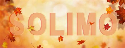 Начало Solimo Travel Agency