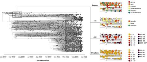 Scov2 Md A Database For The Dynamics Of The Sars Cov 2 Proteome And