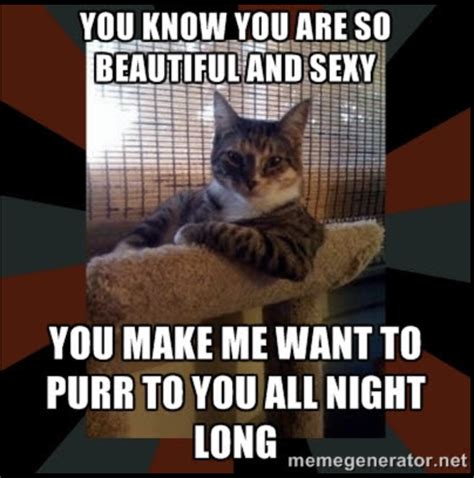 34 Naughty Memes And Pics To Get You In The Mood Ebaums World