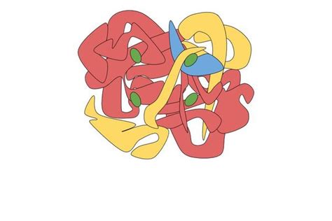Haemoglobin Biology Aqa A Level