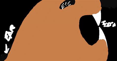 Wsu Logo Explanation Album On Imgur