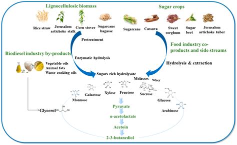 Biomass Derived 23 Butanediol And Its Application In Biofuels