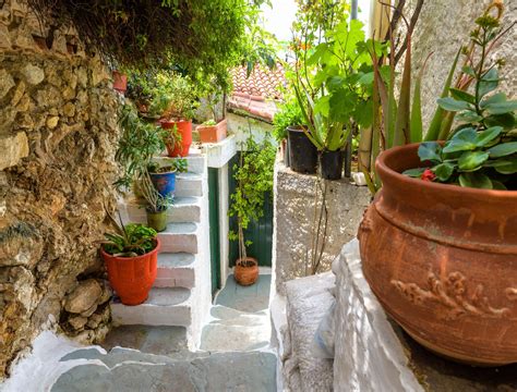 Ancient Greek Garden