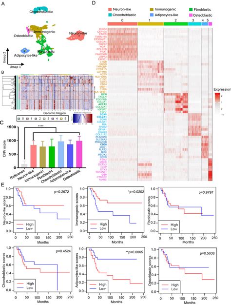 Transcriptomic Heterogeneity Of Oncocytes In Os A Re Clustering Of Os