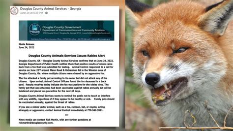 Is Rabies Common In Foxes