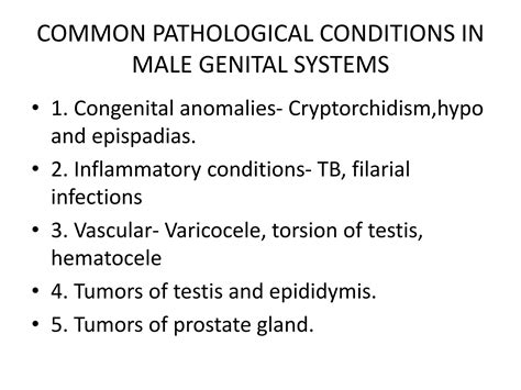 Male Genital Part I Pptx