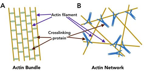 Tracing And Segmentation Of Molecular Patterns In 3 Dimensional Cryo Et Em Density Maps Through