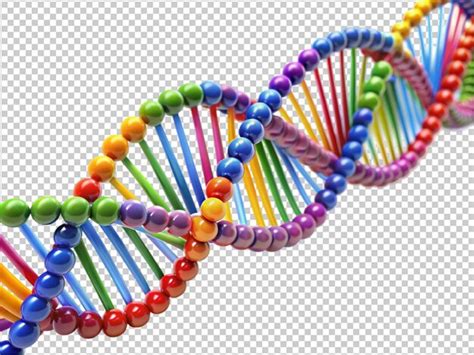 Dna Genome Structure Premium Ai Generated Psd