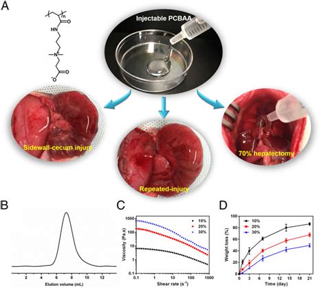 Fouling Resistant Zwitterionic Polymers For Complete Prevention Of Postoperative Adhesion Pmc