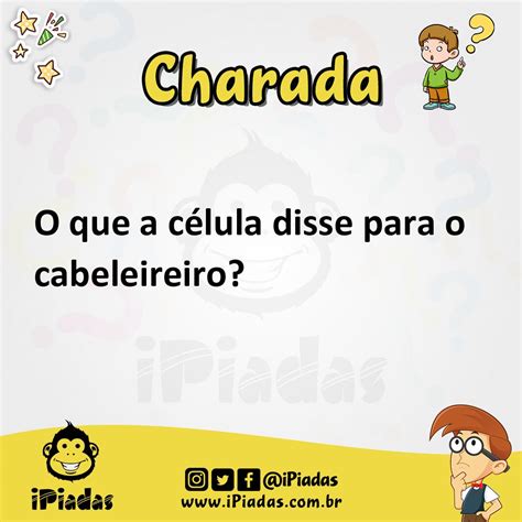 O Que A Célula Disse Para O Cabeleireiro