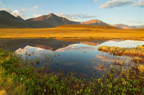 Arctic National Wildlife Refuge Trips Anwr Tours Alaska Arctic Refuge