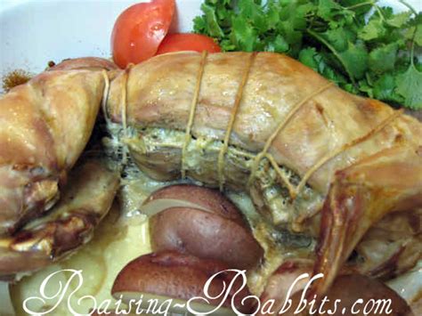 Stuffed Rabbit Recipe Baked Rabbit Recipe Is Also A Crock Pot Recipe